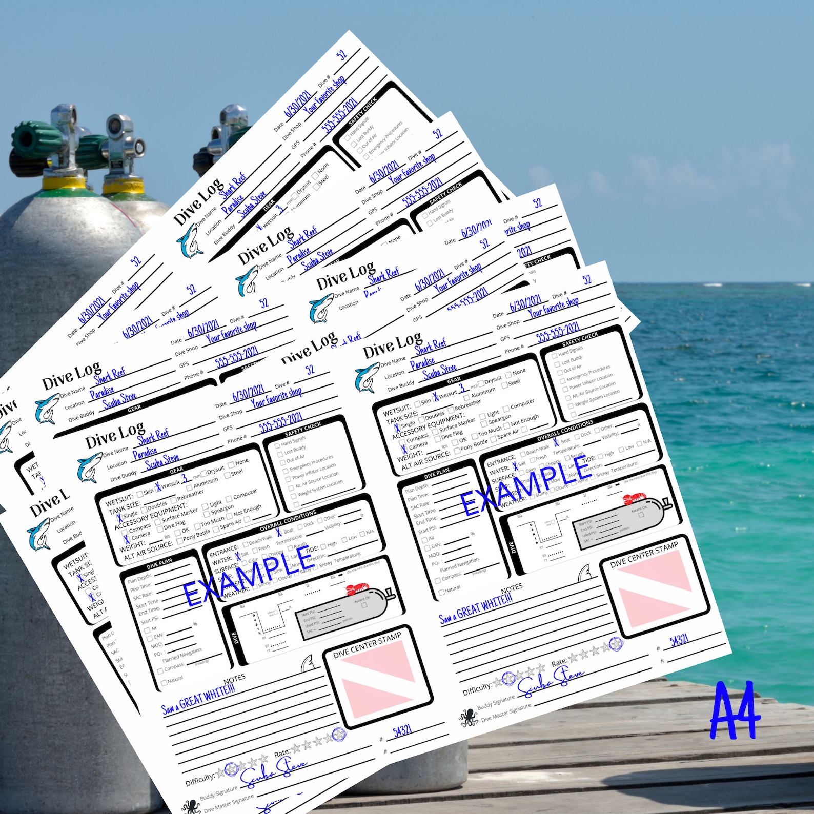 Scuba Diving Log Book: Diver Information & Note Sheets (digital ...