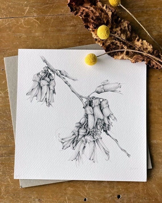 Prints Art & Collectibles Art Print New Zealand Kowhai Tree Flower ...