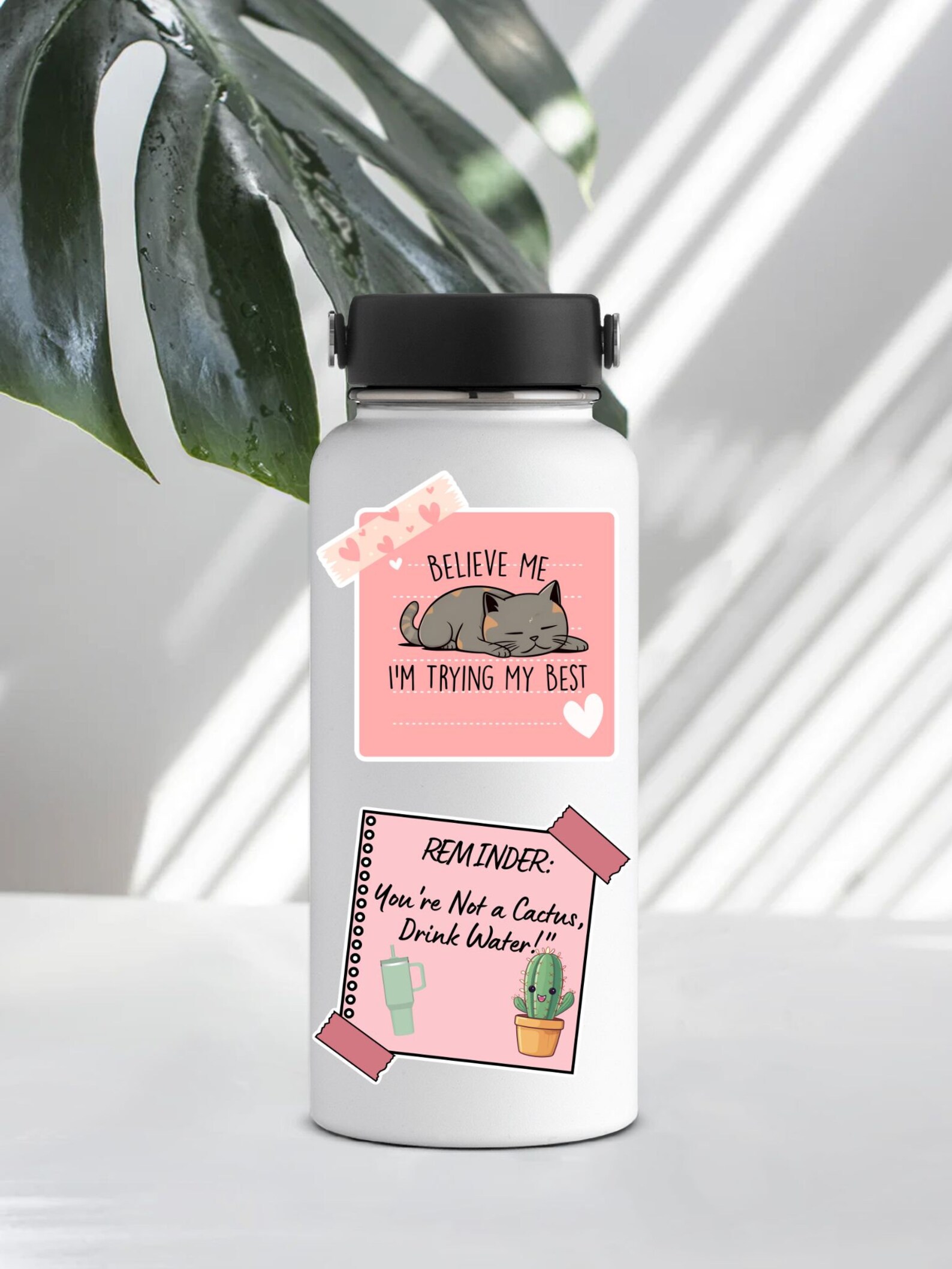 Stay Hydrated Reminder Sticky Note Sticker-you're Not a Cactus,drink ...