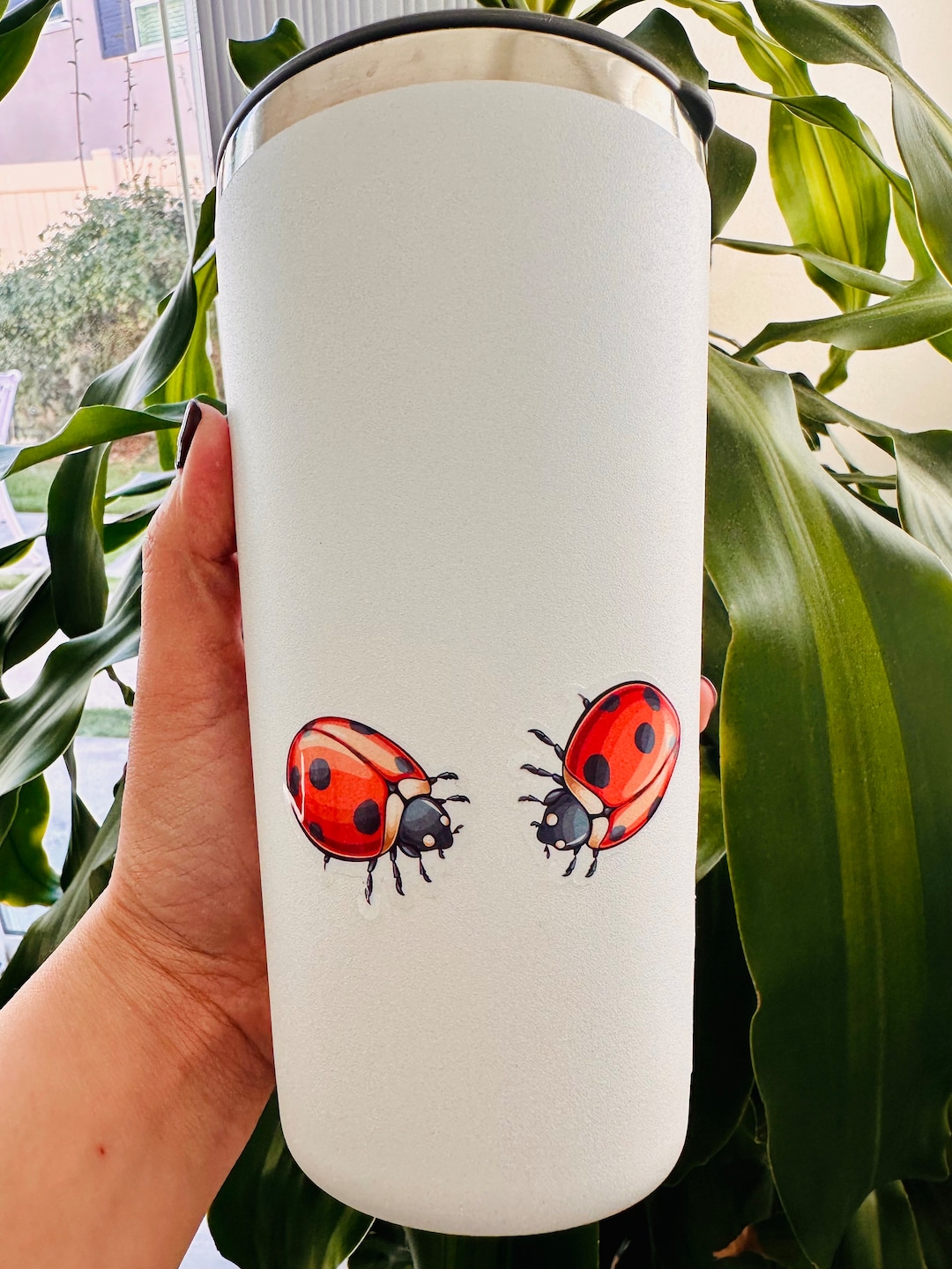 Clear Lady Bug Insect Sticker-aesthetic-laptop and Water Bottle Sticker ...