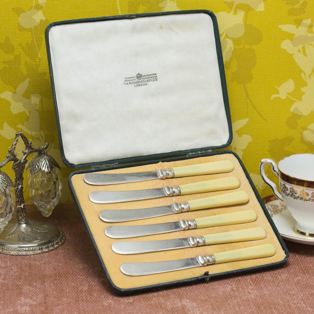 Vintage Cutlery, Afternoon Tea Utensils With Faux Bone Handles in Box ...