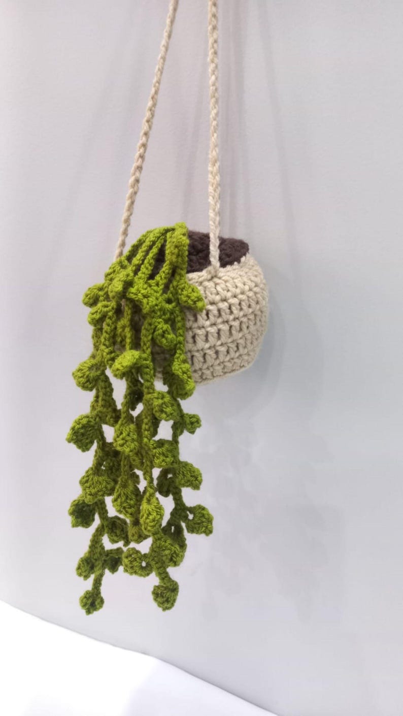 Crochet Wall Planter - Etsy