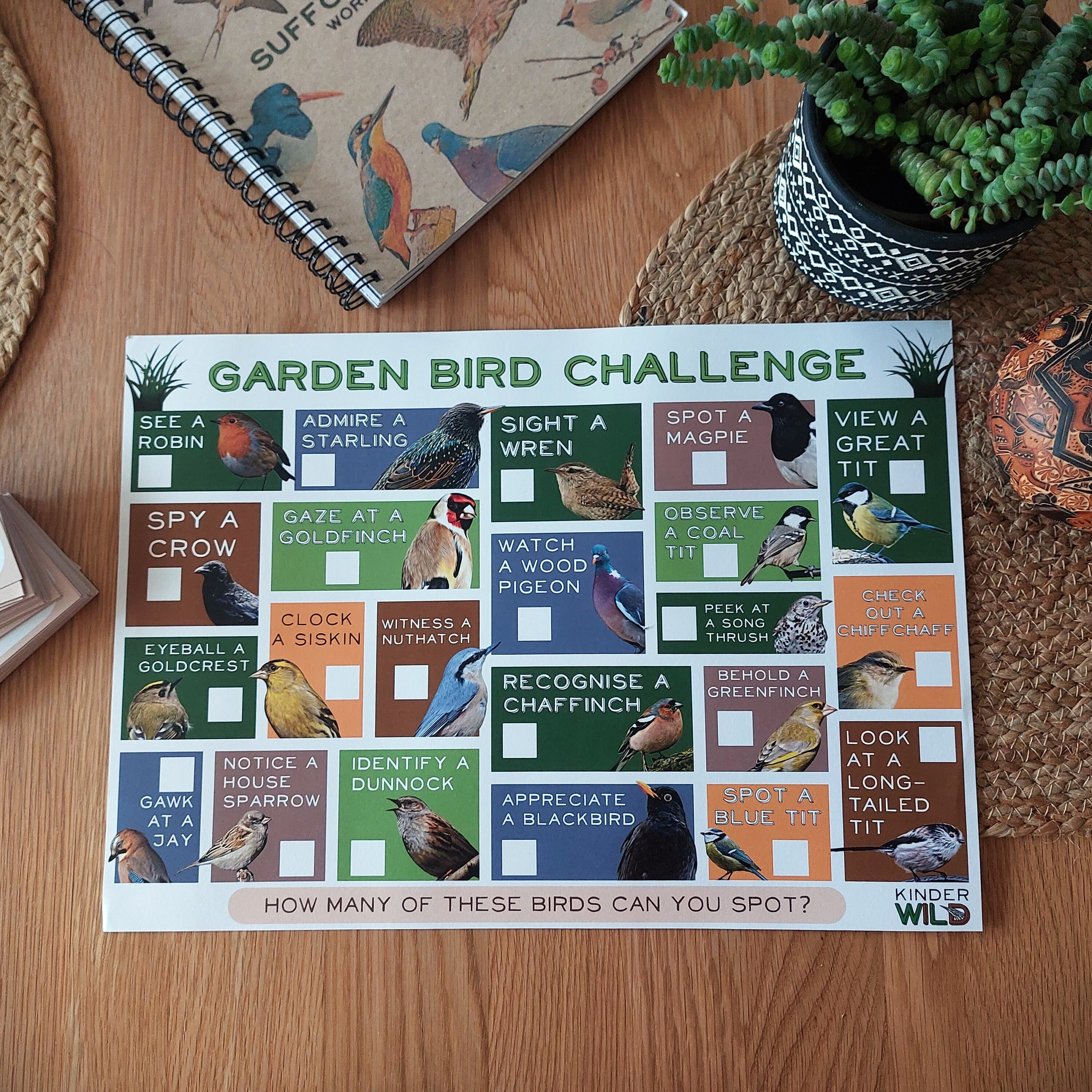 Garden Bird Spotting Poster - Etsy UK