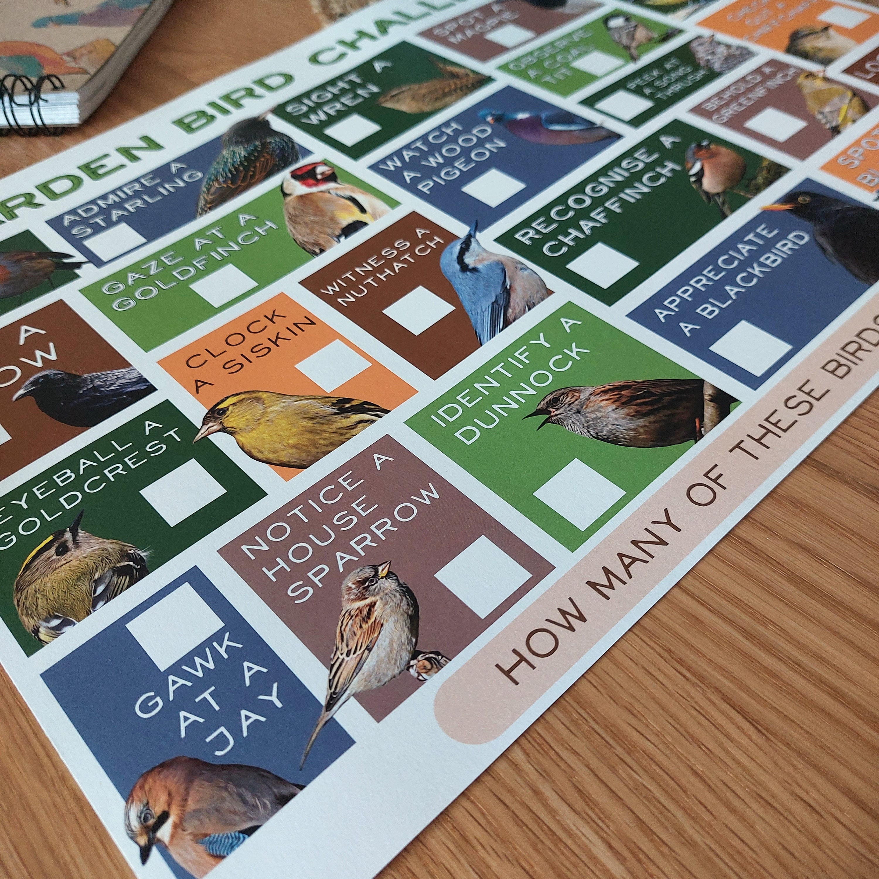 Garden Bird Spotting Poster - Etsy UK