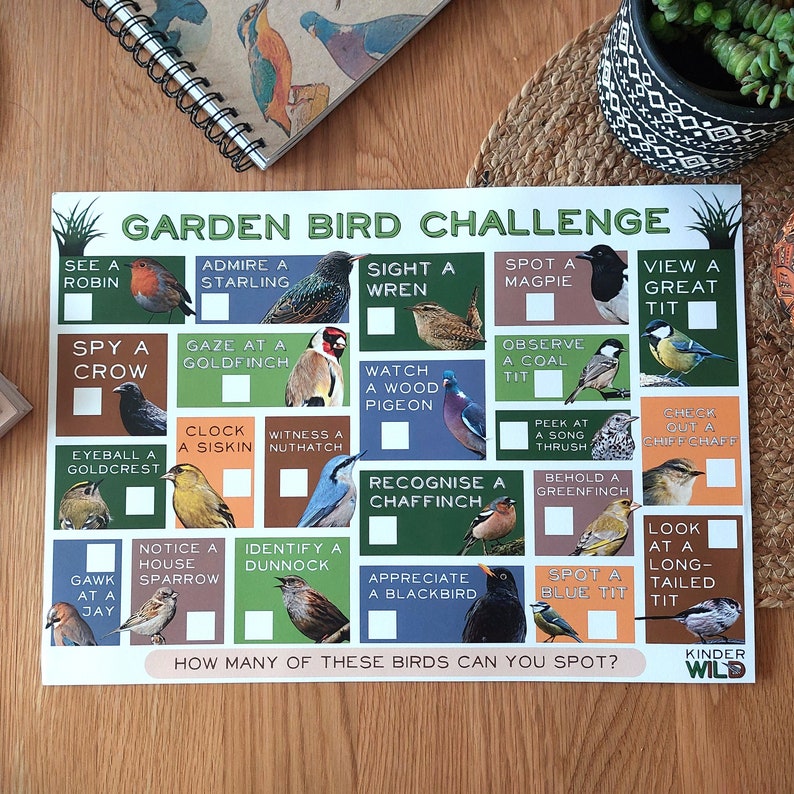 Garden Bird Spotting Poster - Etsy UK