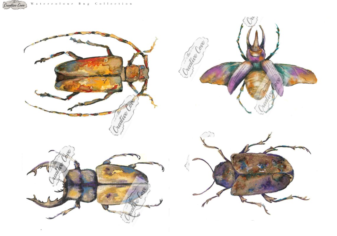 Watercolour Bug Collection - Etsy