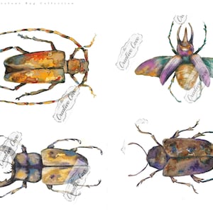 Watercolour Bug Collection - Etsy