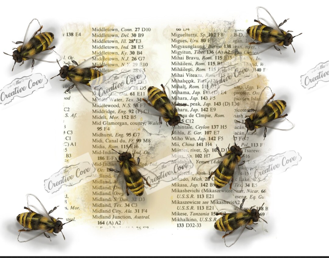 Honey Bee Collection 1 - Etsy