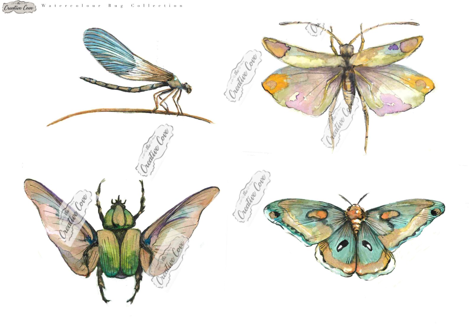Watercolour Bug Collection - Etsy