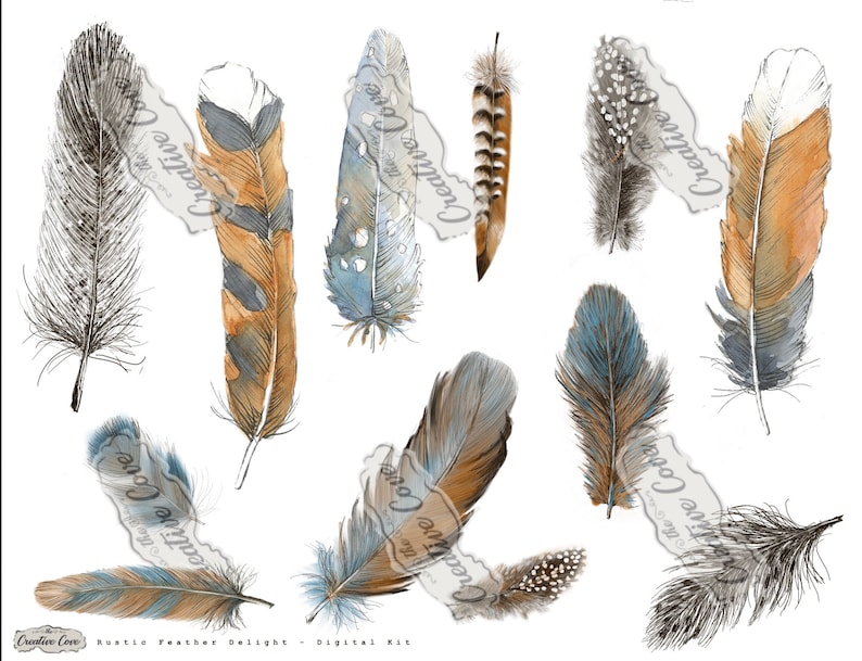 Rustic Feather Delight- Digital Kit 2 - Etsy