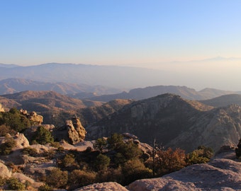 OCP Arid Vector Camouflage Pattern for Printing, Scorpion, Army ...