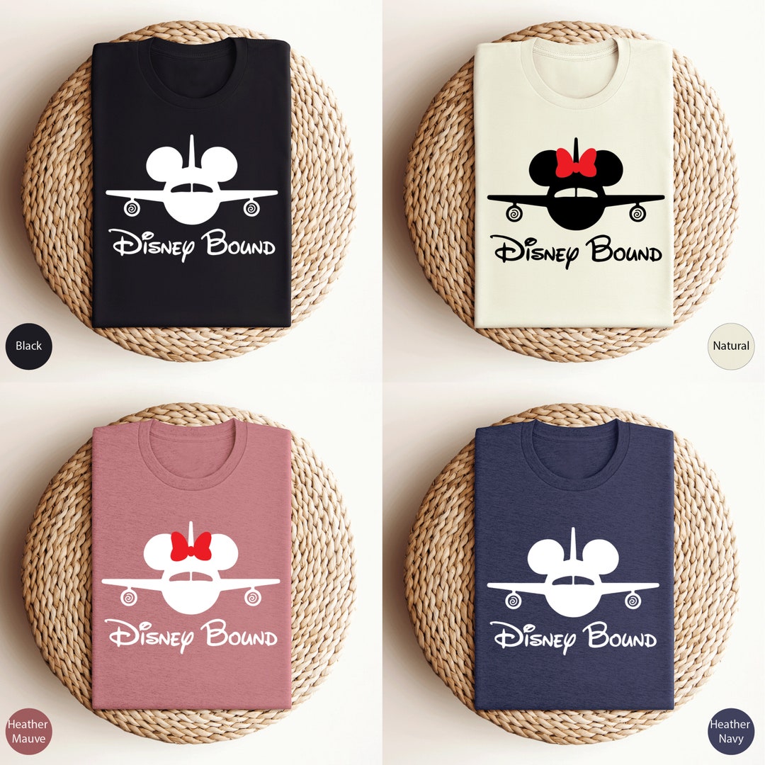Disney Bound Airplane T-shirt / Disney Family Trip Shirt / Disneyland ...