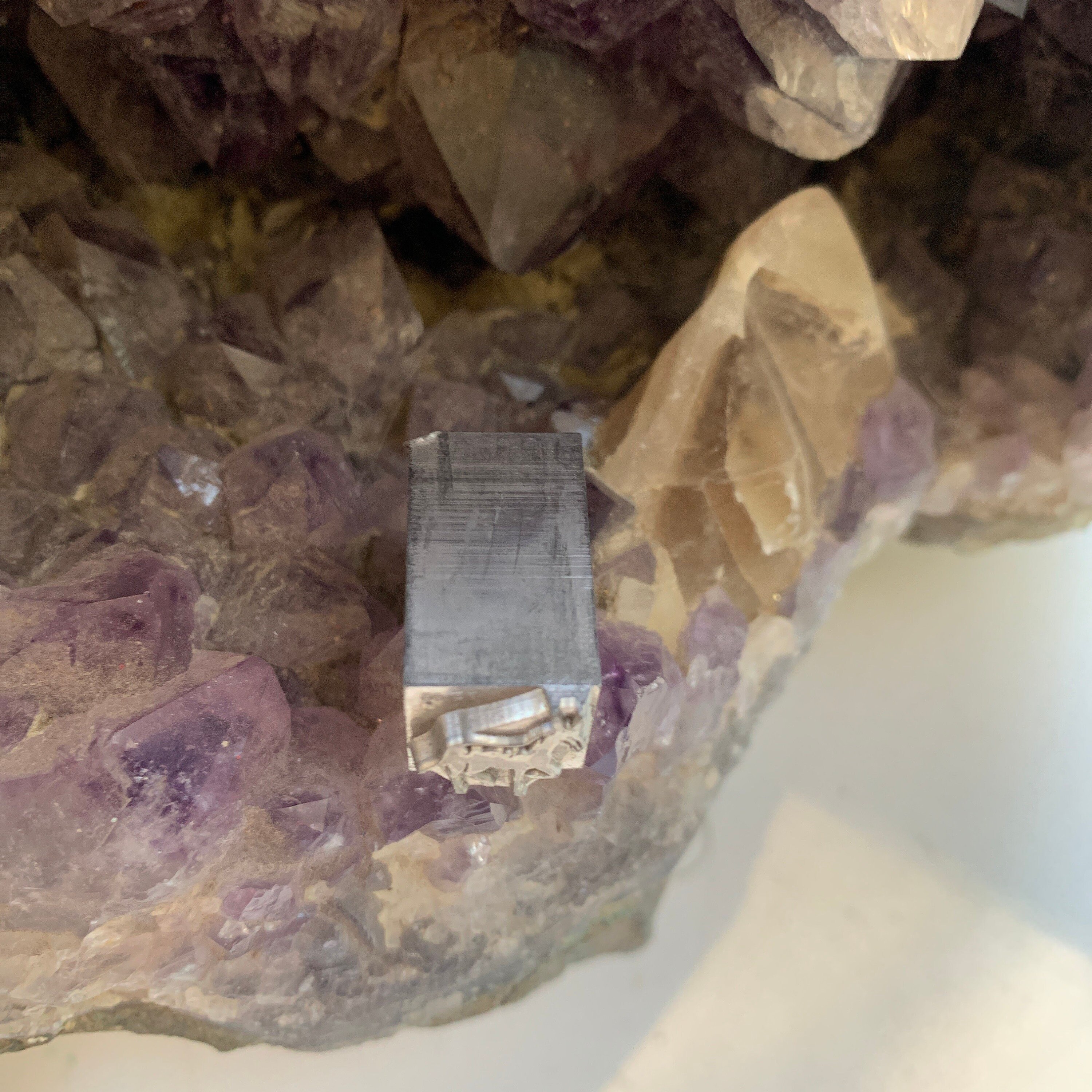 Vintage Donkey Printing Letter Press Printers Block 1/2” X 1/2 ...