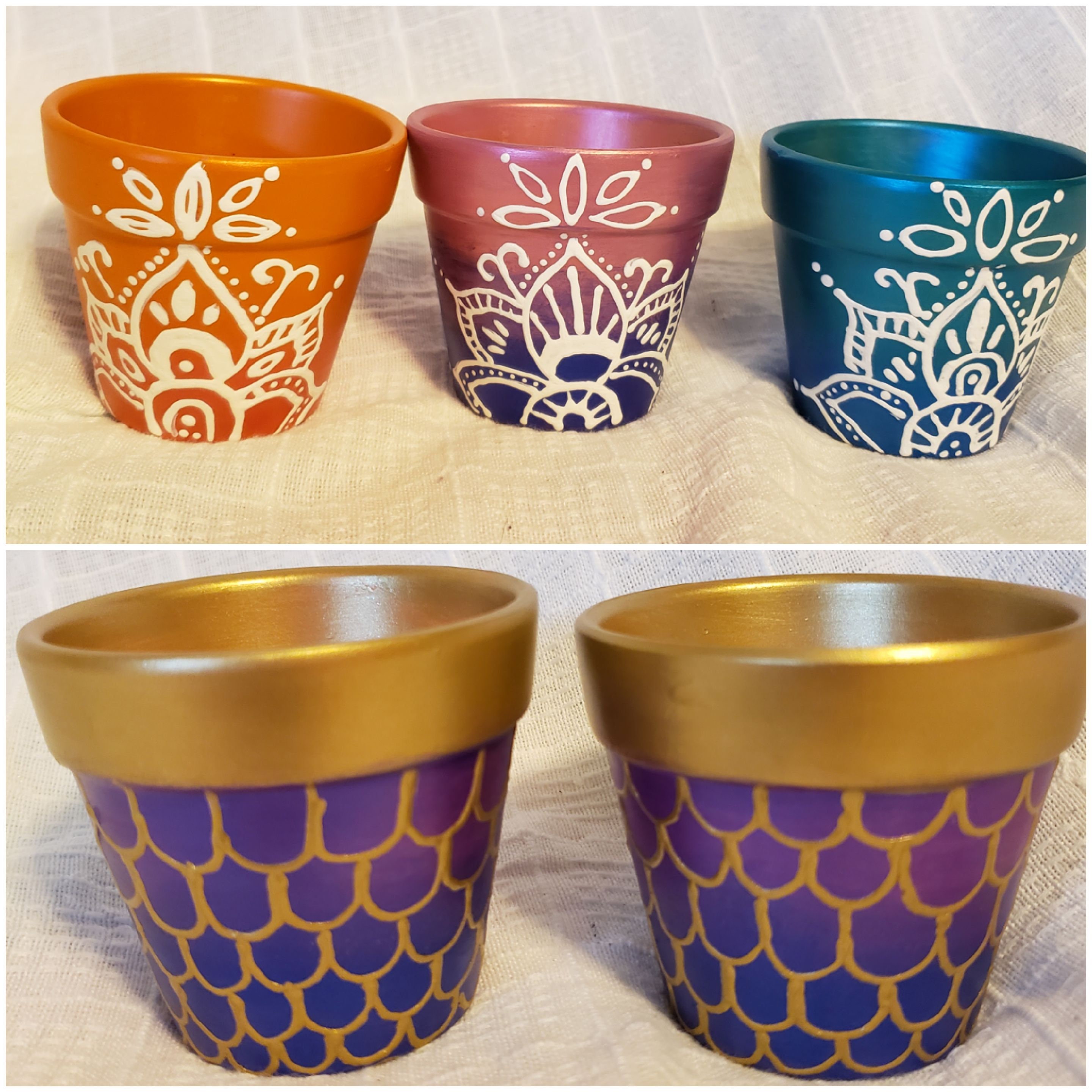 Succulent Flowerpots Color Shift - Etsy