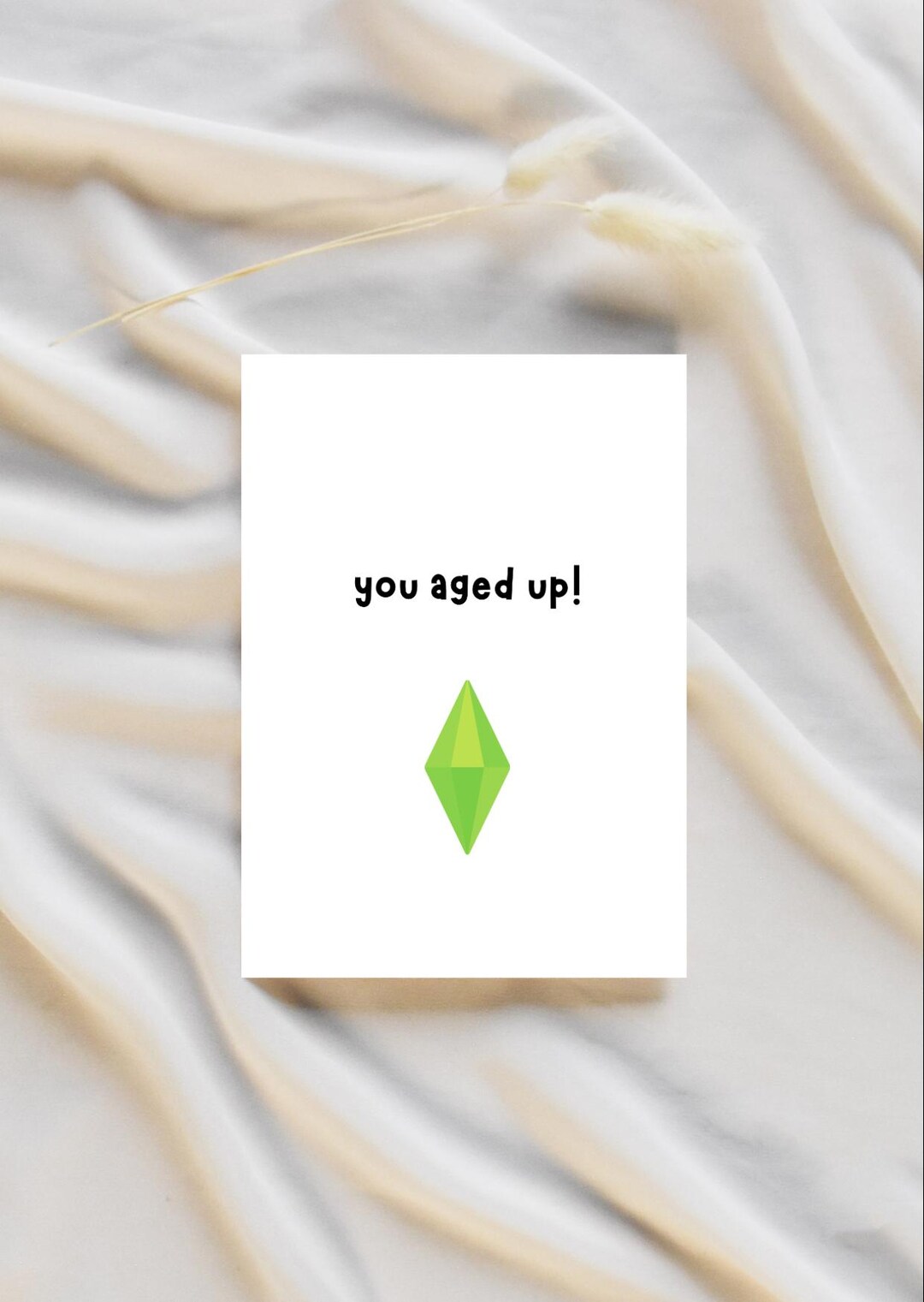 Sims Birthday Card for Him | Raunchy Birthday Card for Husband ...