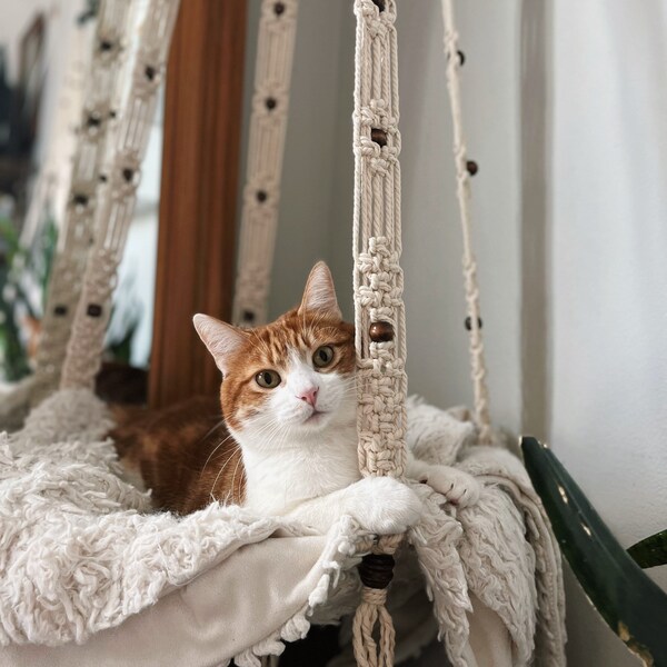 Hanging Cat Bed - Etsy