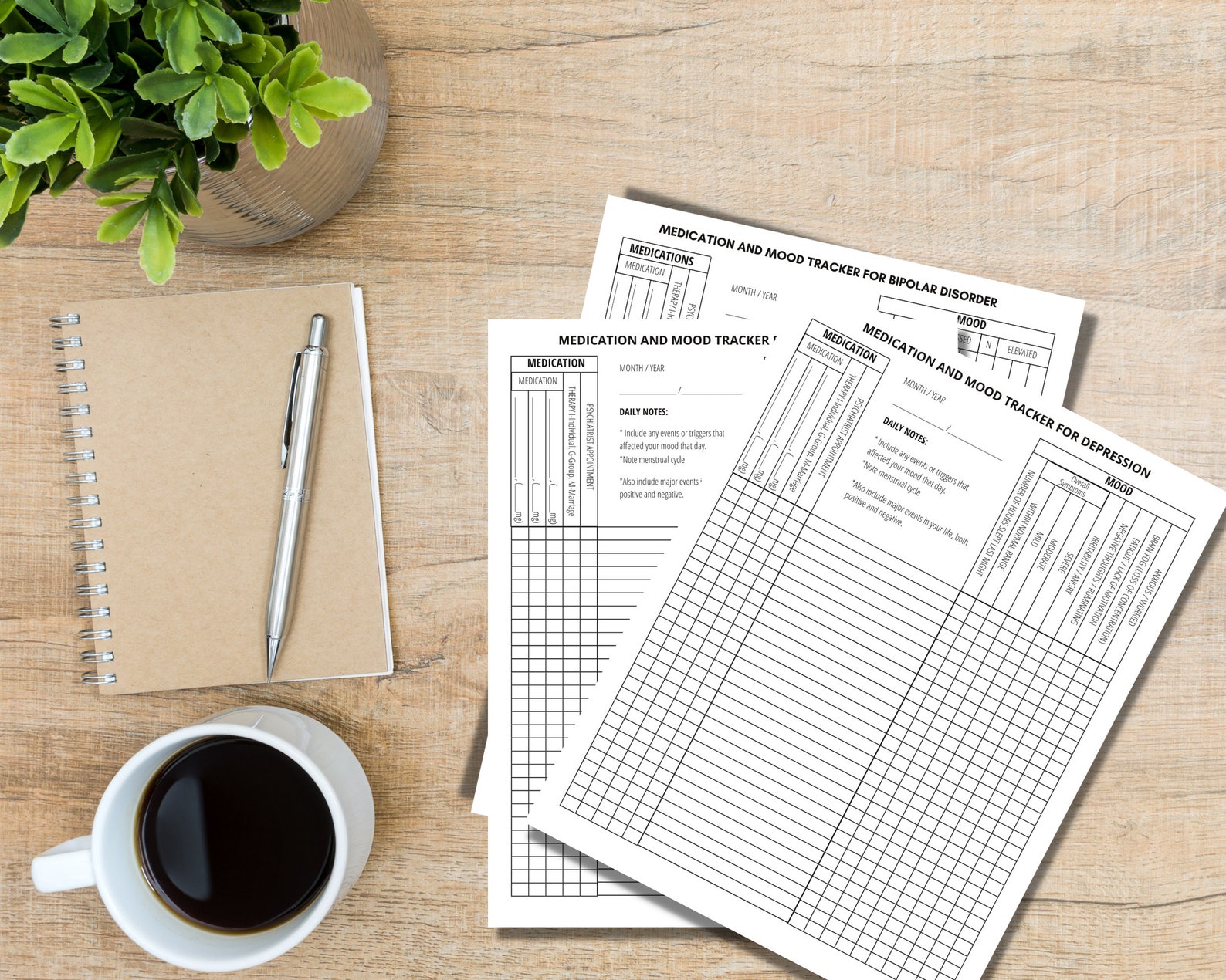 Printable Mood and Medication Tracker: Mental Health Journal (PDF) - Etsy