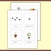Life Cycle of Sweet Potato Printable Activities | Preschool Printables ...