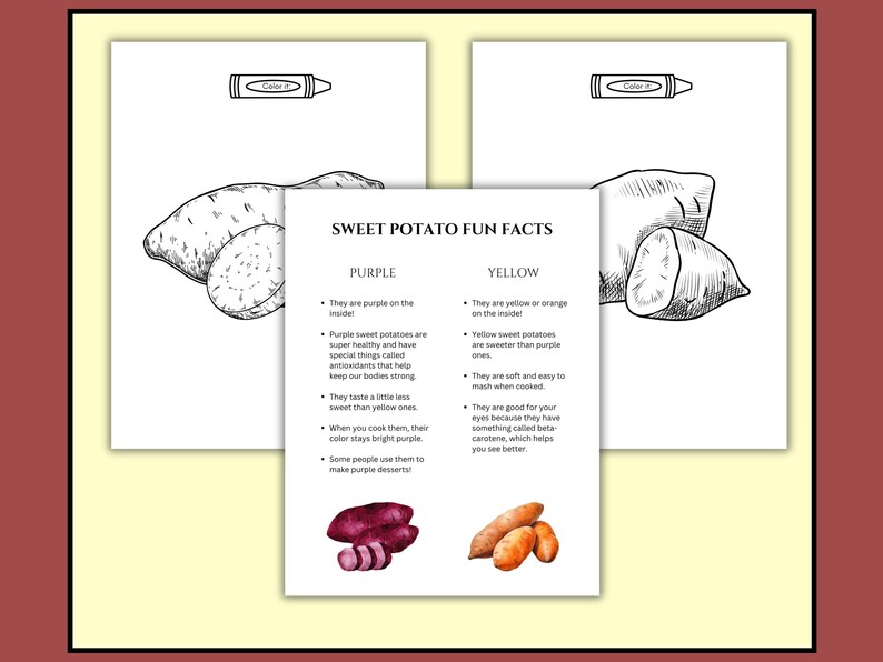 Life Cycle of Sweet Potato Printable Activities | Preschool Printables ...