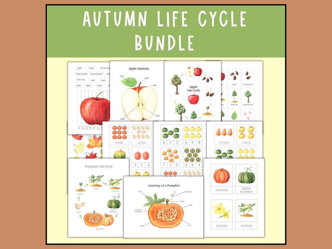 Printable Autumn Life Cycle | Apple Life Cycle | Pumpkin Life Cycle ...