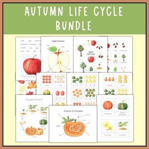 Printable Autumn Life Cycle | Apple Life Cycle | Pumpkin Life Cycle ...
