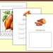 Life Cycle of Sweet Potato Printable Activities | Preschool Printables ...