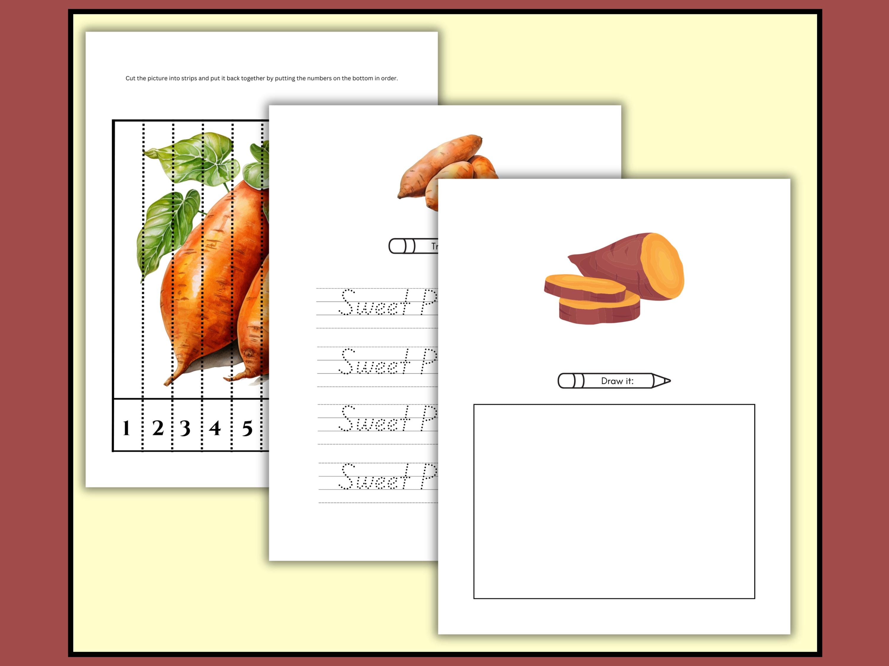 Life Cycle of Sweet Potato Printable Activities | Preschool Printables ...