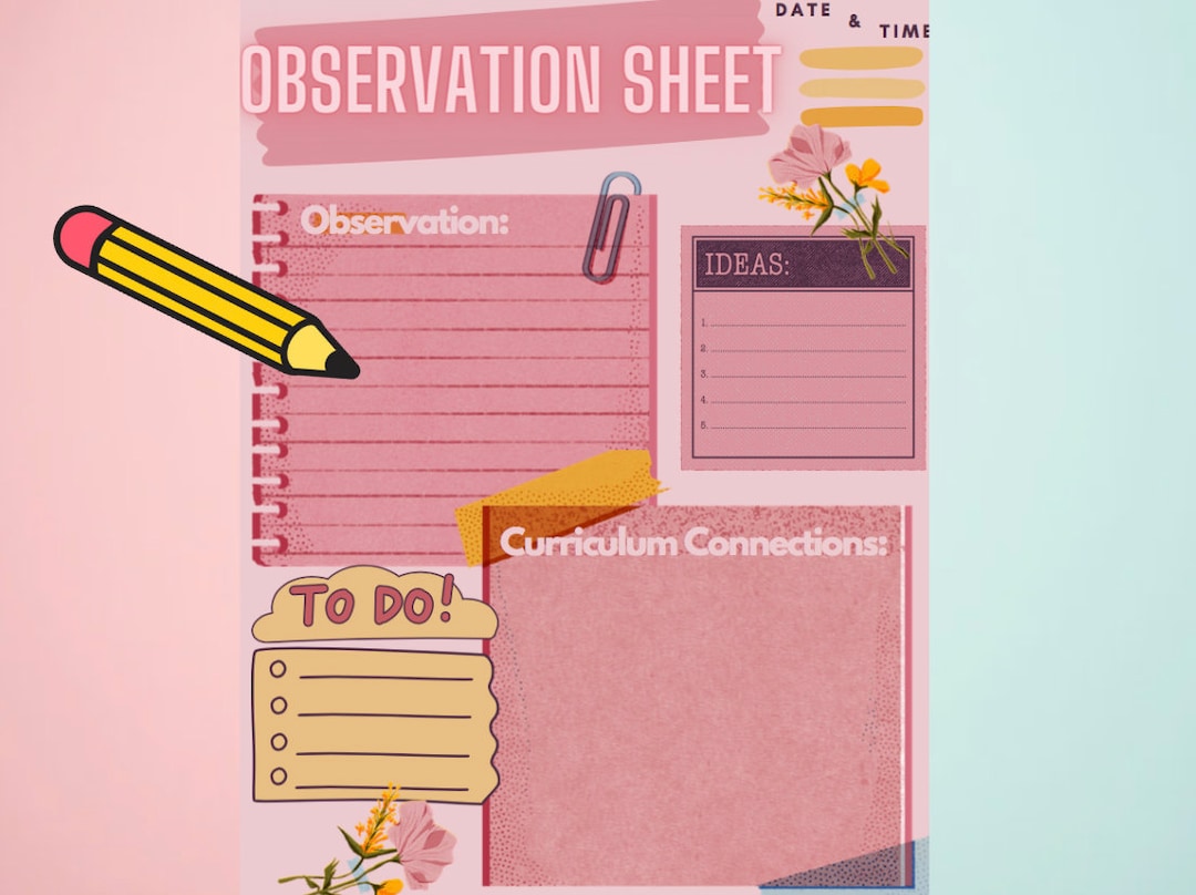 Educator Observation Sheet 2 Versions - Etsy