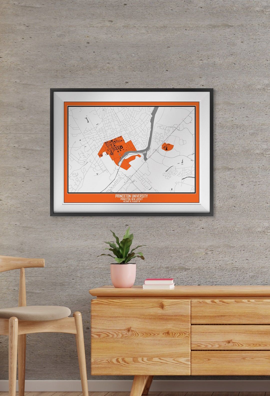 Princeton University Graduation Gifts College/university - Etsy
