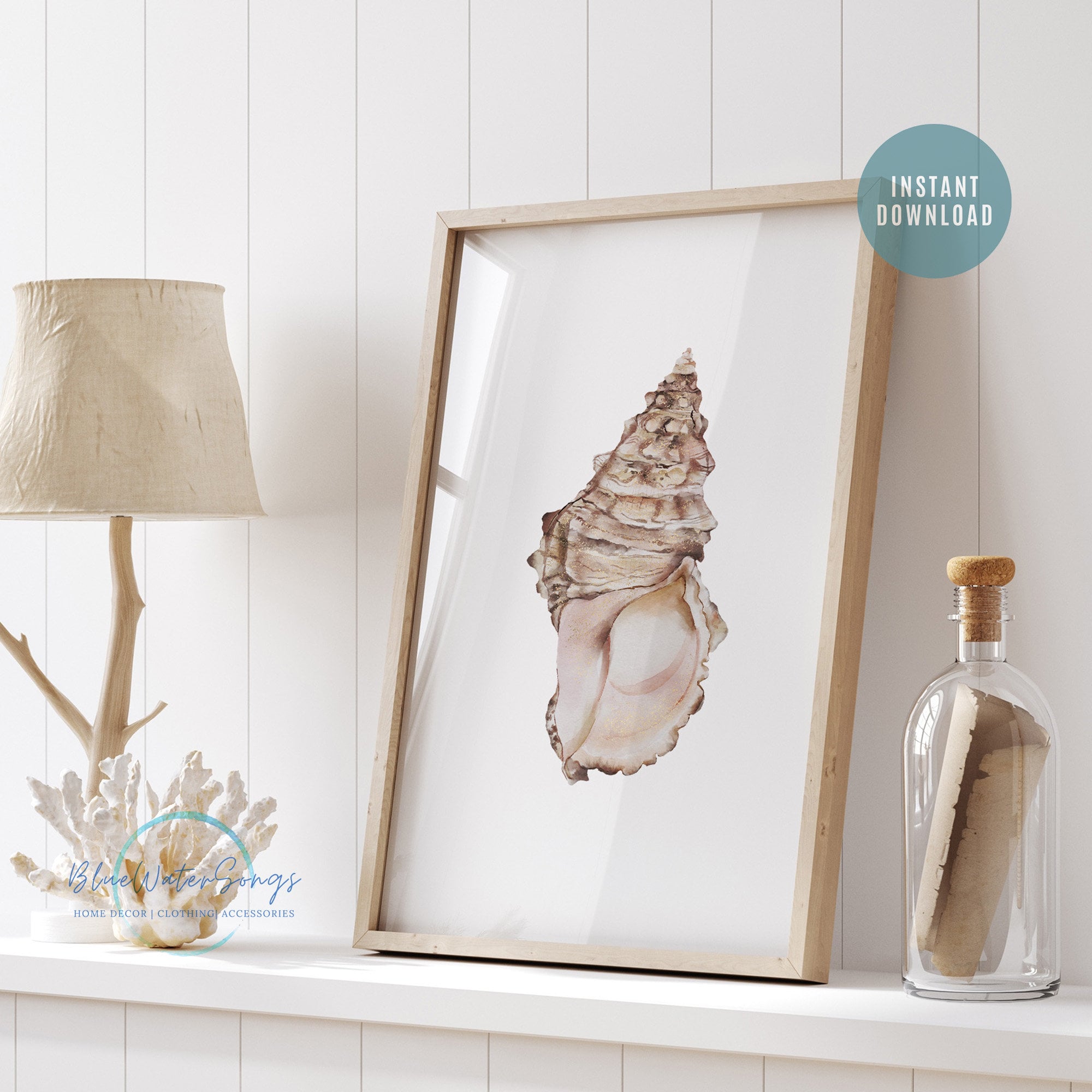 Watercolor Seashell Art Print Beach Art Modern Coastal Art - Etsy