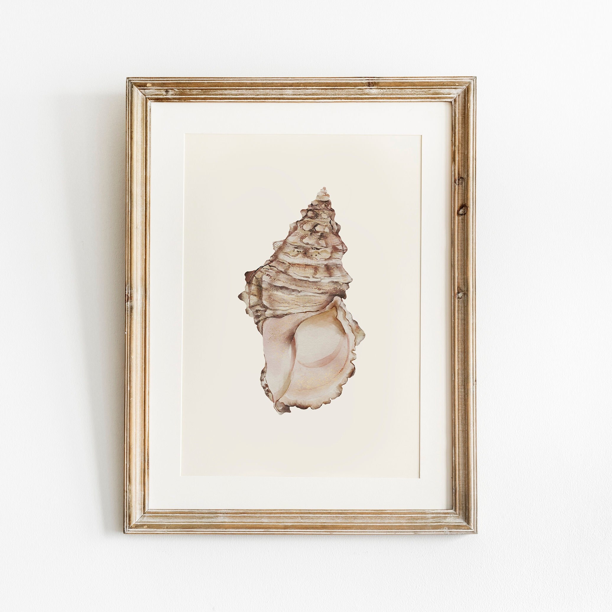 Watercolor Seashell Art Print Beach Art Modern Coastal Art - Etsy