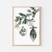Christmas Watercolor Print Set: Winter Gallery Wall Art (digital ...