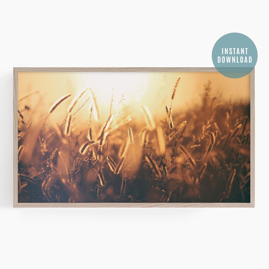 The Frame TV Art Fall, 4K Samsung Frame TV Art, Samsung Frame TV Art ...