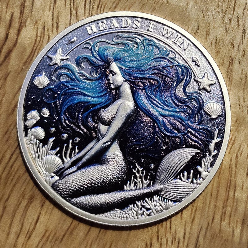 Heads I Get Tail Coins - Etsy
