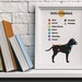 Dog Chakra Printable | Dog Chakra Points | Animal Chakra | Dog Chakra ...