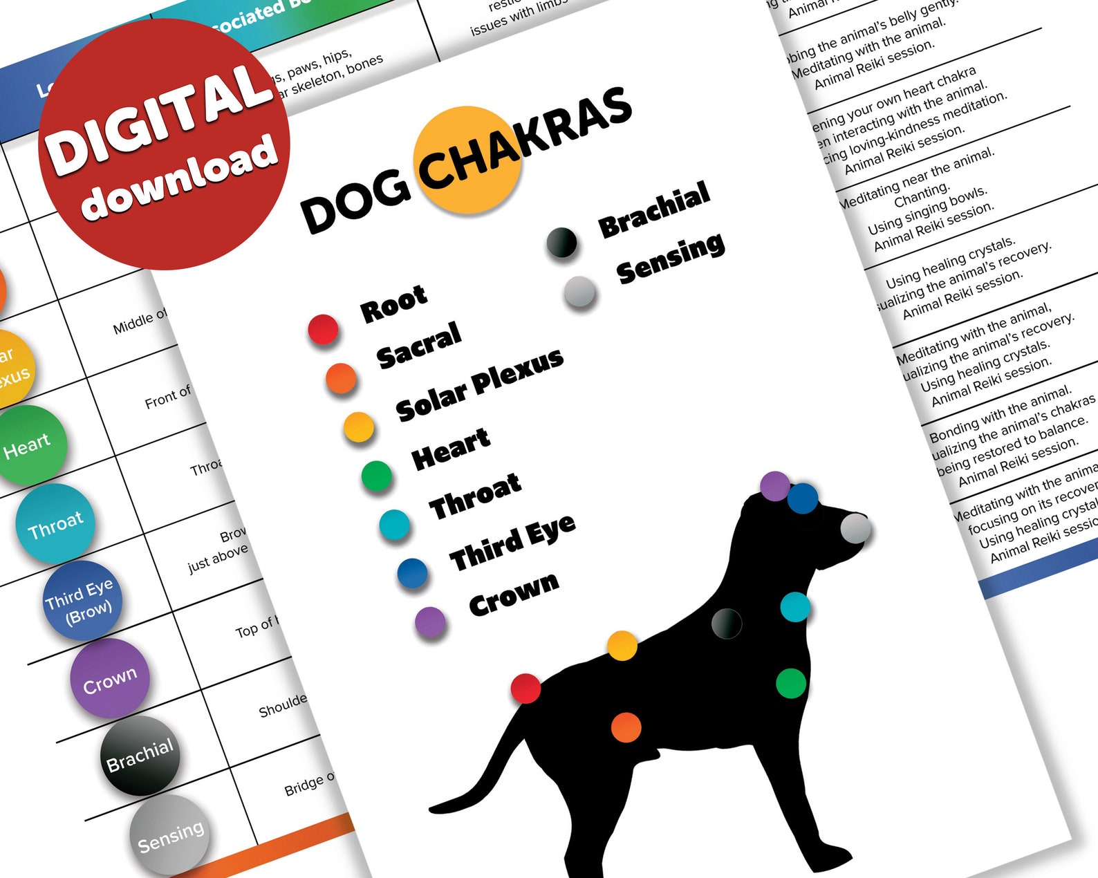 Dog Chakra Printable | Dog Chakra Points | Animal Chakra | Dog Chakra ...