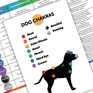 Dog Chakra Printable Dog Chakra Points Animal Chakra Dog - Etsy