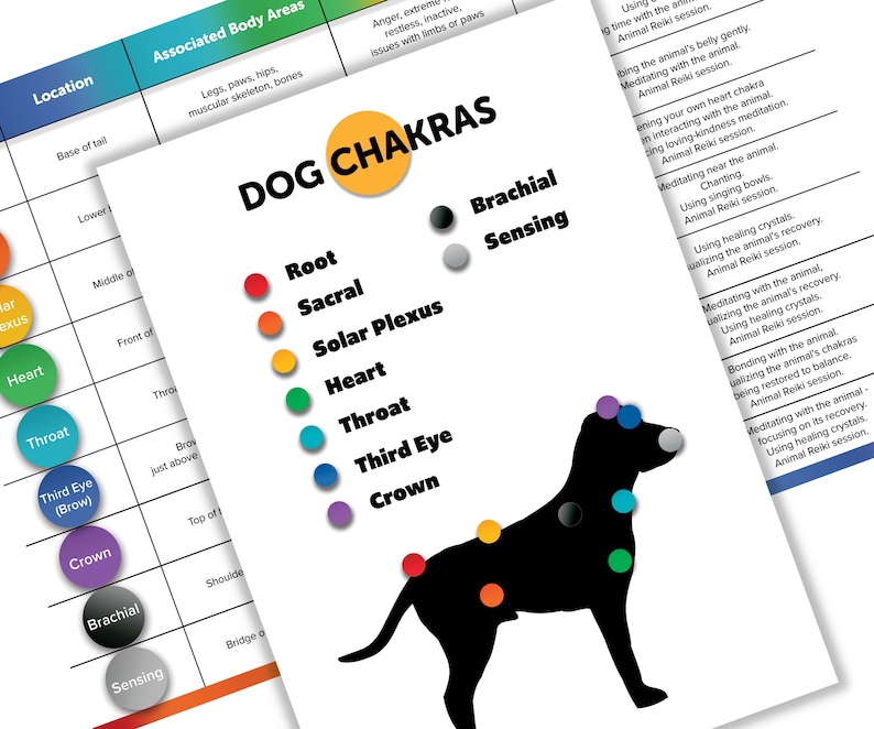 Dog Chakra Printable Dog Chakra Points Animal Chakra Dog - Etsy