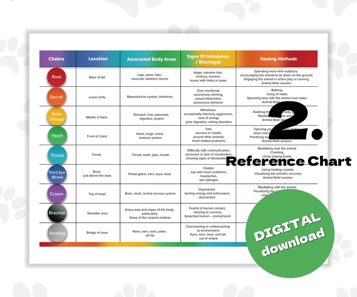 Dog Chakra Printable | Dog Chakra Points | Animal Chakra | Dog Chakra ...