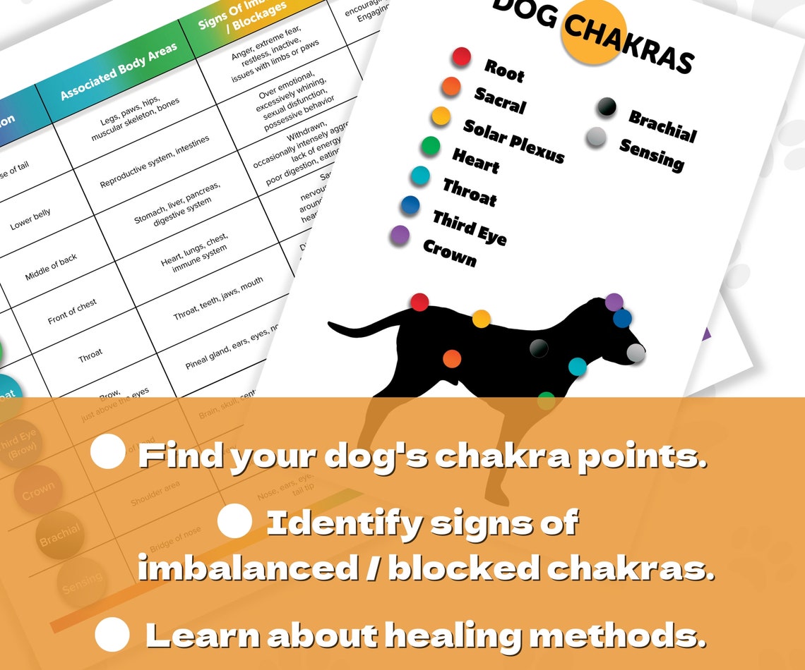 Dog Chakra Printable | Dog Chakra Points | Animal Chakra | Dog Chakra ...