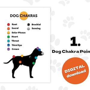 Dog Chakra Printable | Dog Chakra Points | Animal Chakra | Dog Chakra ...