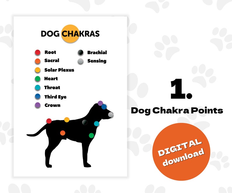 Dog Chakra Printable | Dog Chakra Points | Animal Chakra | Dog Chakra ...