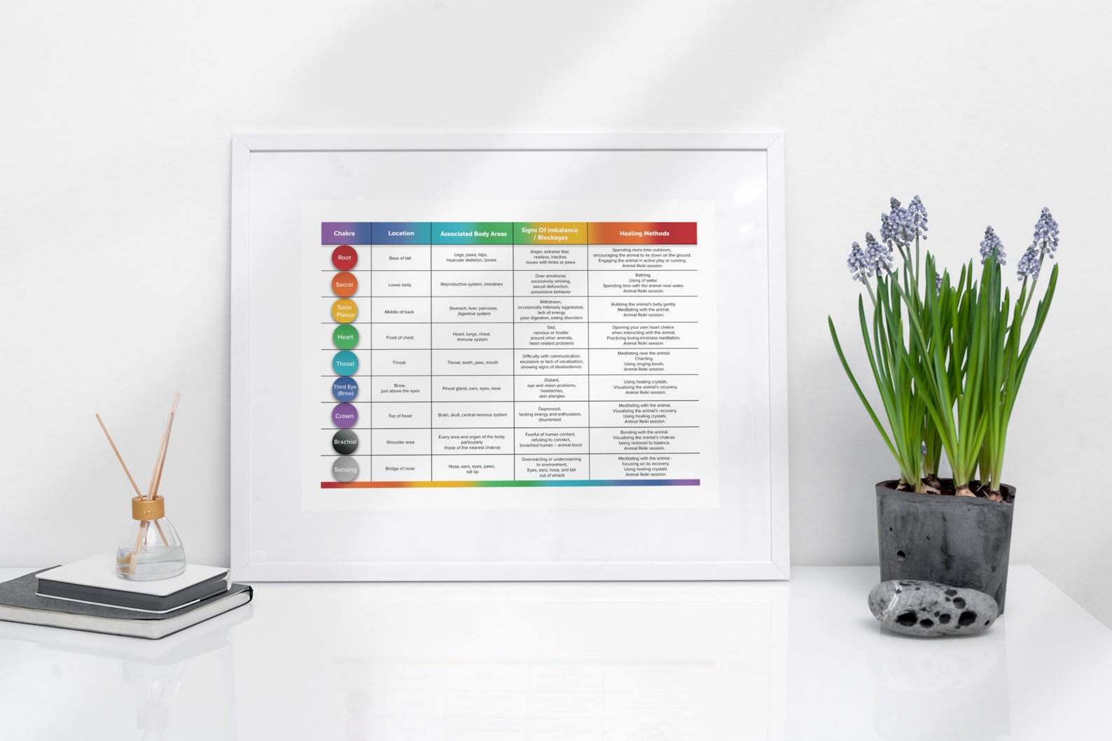 Dog Chakra Printable | Dog Chakra Points | Animal Chakra | Dog Chakra ...