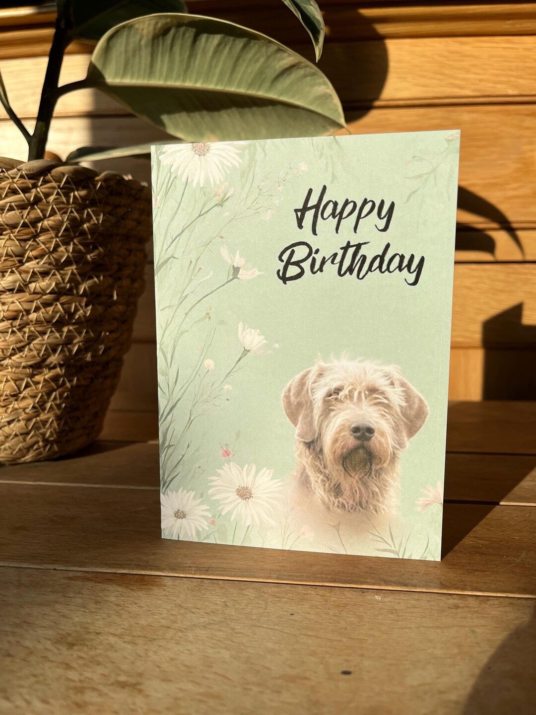Slovakian Rough Haired Pointer Birthday Card: Dog Lover Gift - Etsy