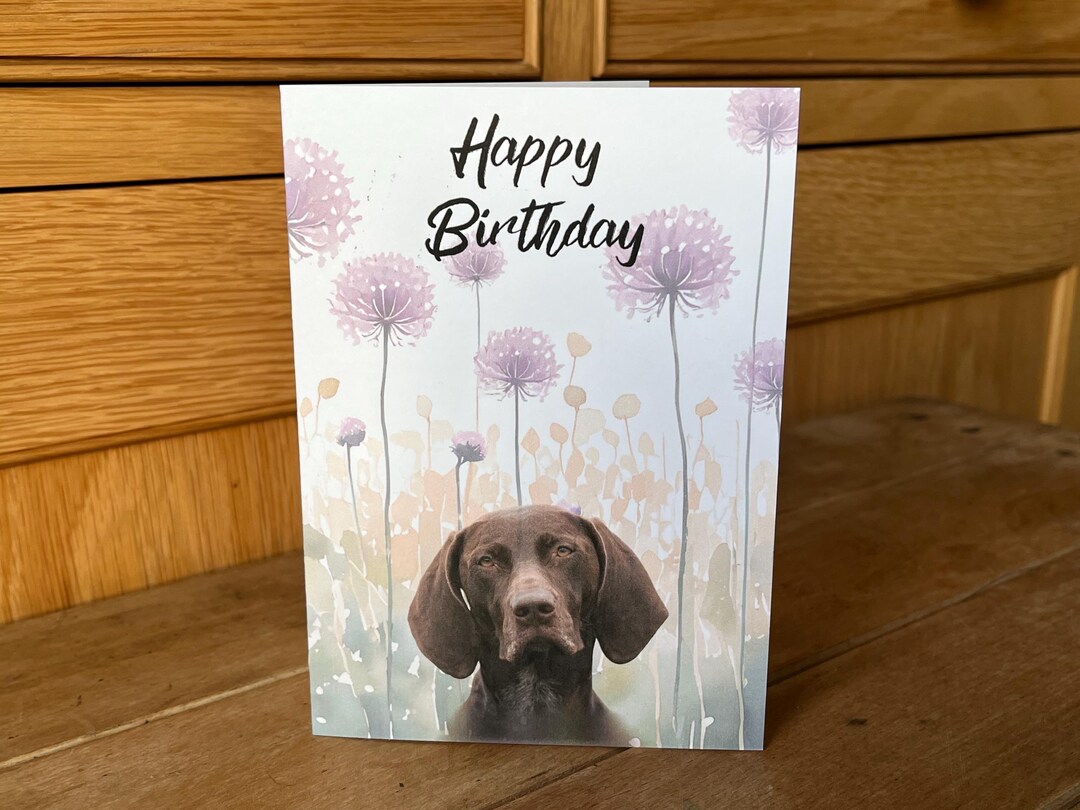 German Short Haired Pointer Birthday Card, Card for GSP Owner, Dog ...
