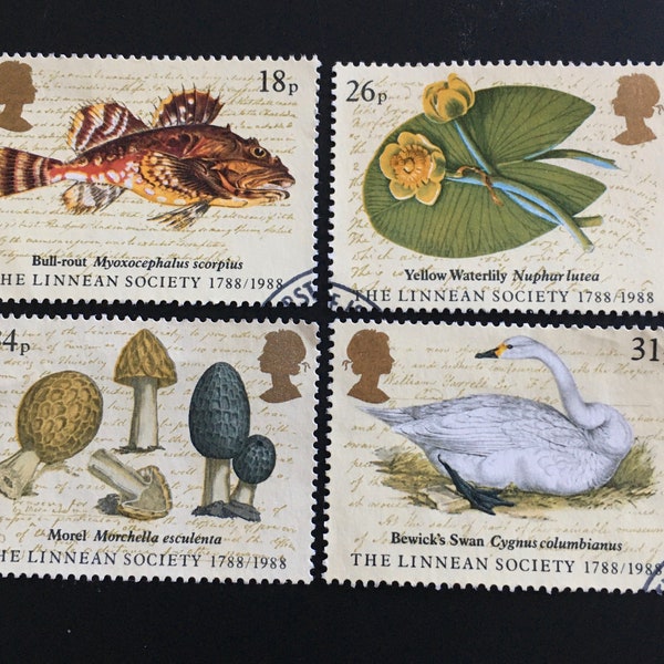 Biology Stamps - Etsy