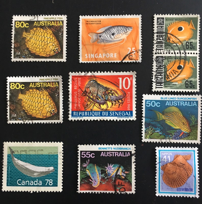 10 Underwater Sea Creatures Fish Scallop Shell Fishes Sea Life ...