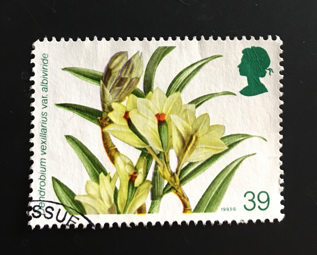 UK GB 1993 Orchid Postage Stamp Flower Stampvintage Postage Stamp Used ...