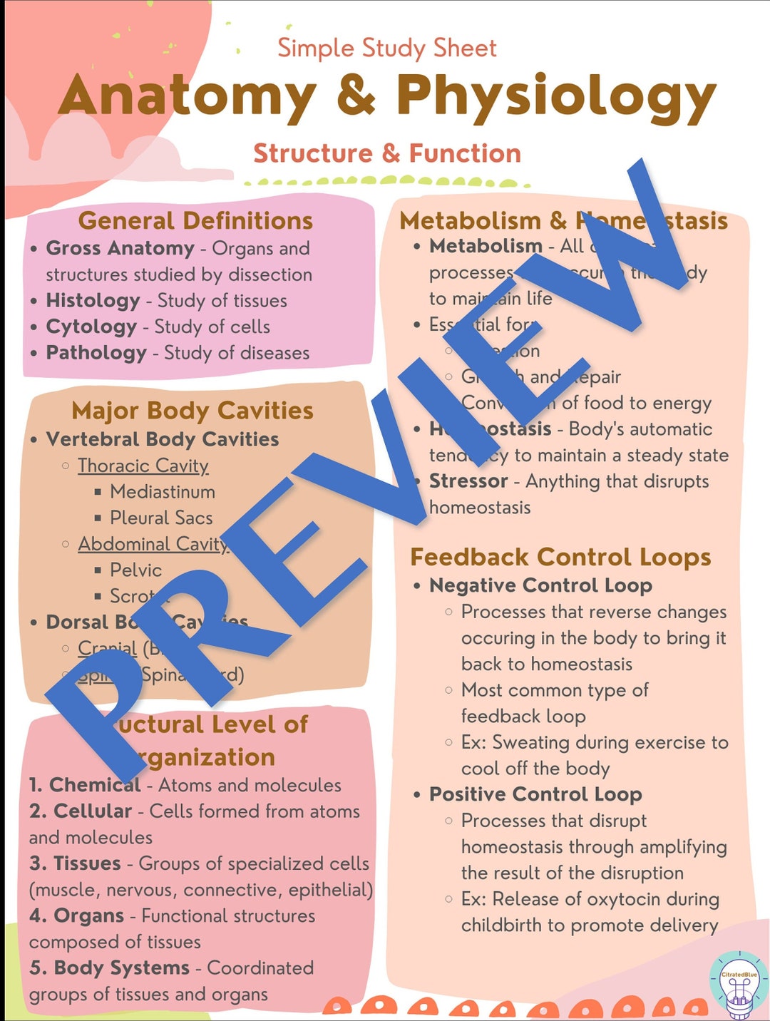 Introduction to Anatomy and Physiology Study Sheet - Etsy