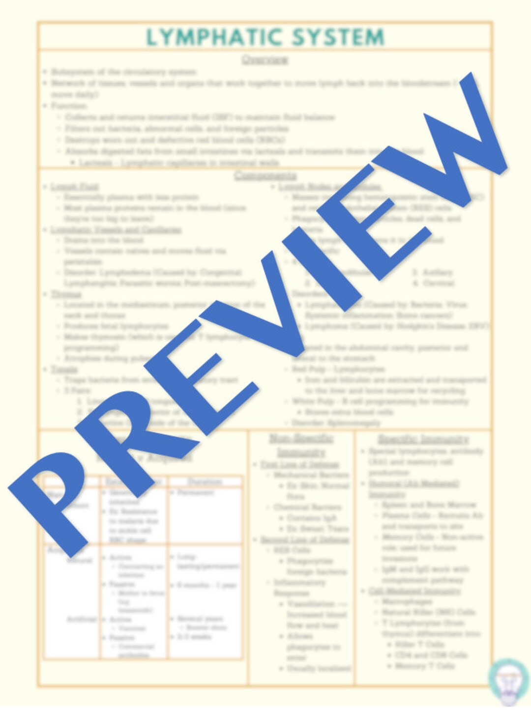 Lymphatic System Study Sheet - Etsy